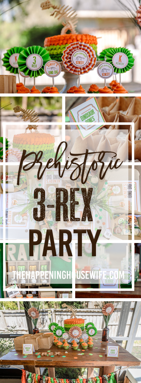 3-Rex Dinosaur Birthday Party - Steph Leighworthy
