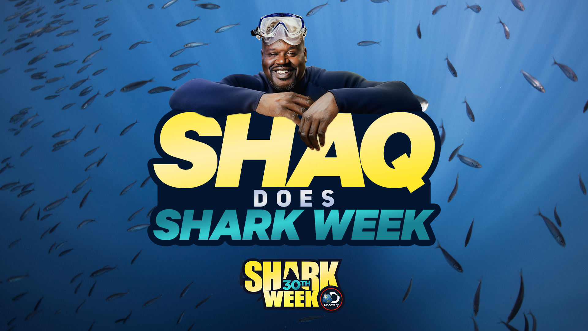 Shark Week Fun ROUND UP! - Steph Leighworthy