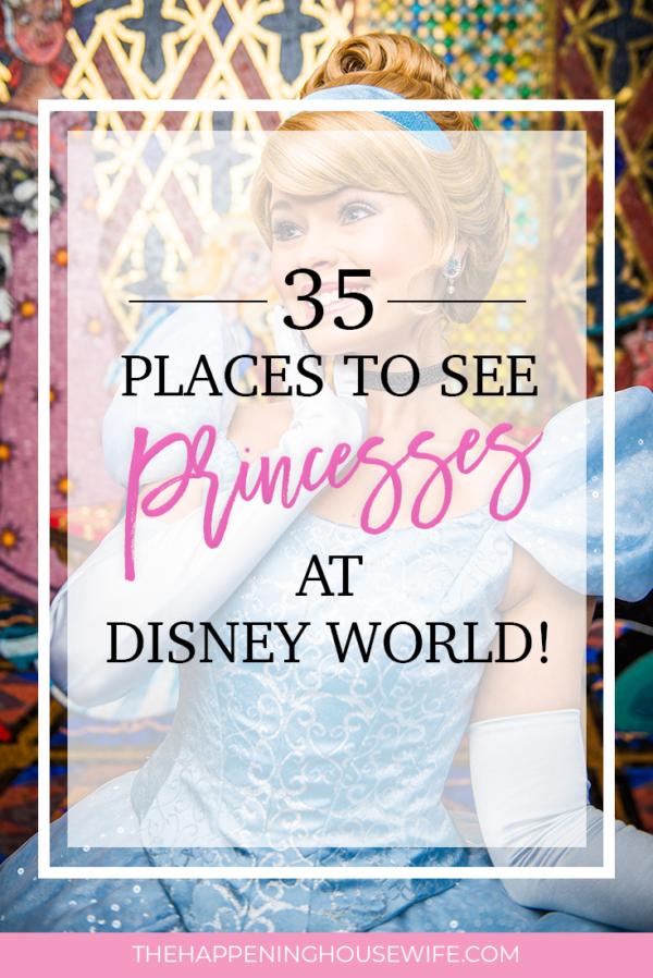 The BEST List of EVERY Single Place to see Princesses at Disney World ...